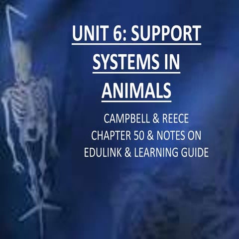 Unit 6 support systems in animals | PPTX