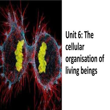 Unit 6_The cellular organisation of living beings.pptx