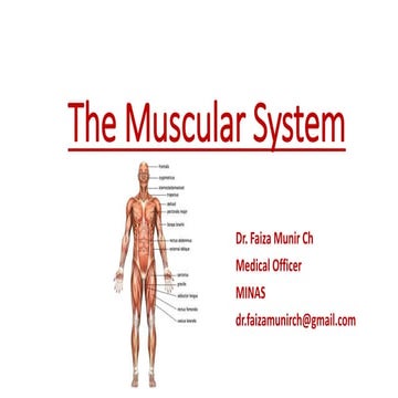 Unit 6 the muscular system | PPTX