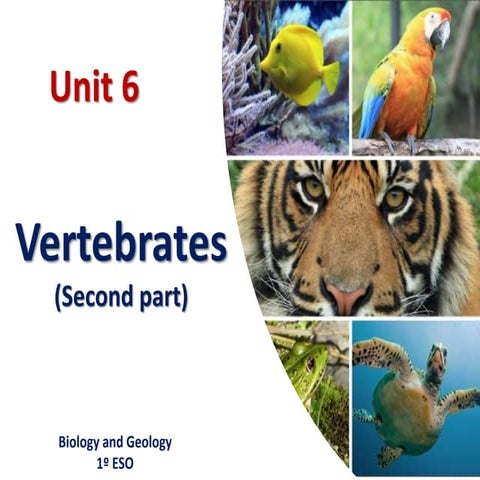 Unit 6 vertebrates (part 2) | PPTX
