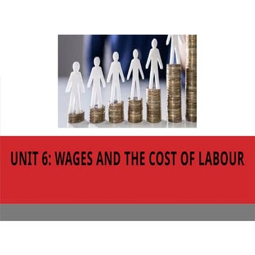 UNIT 6 WAGES AND THE COST OF LABOUR (2025).pptx