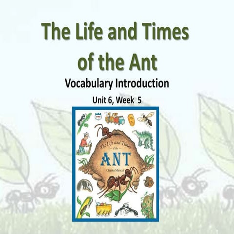 Animals come home vocabulary | PPSX