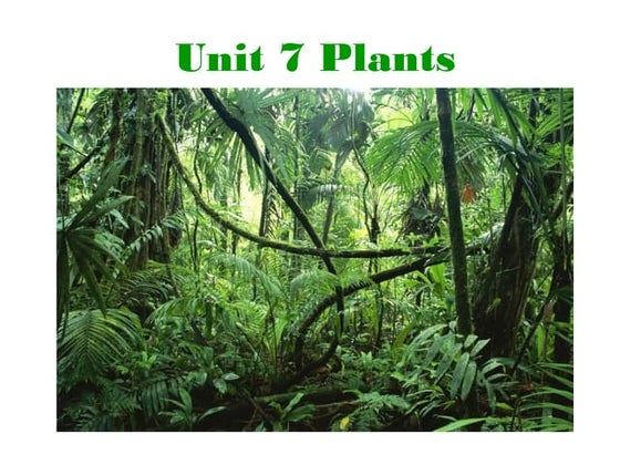 plants needs and plants parts chapter3.grade 3 | PPTX