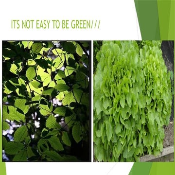 UNIT 7 LECT 2 CLASS O1.pptx bio green plant photo | PPT