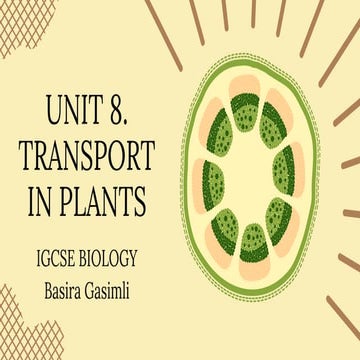 Transport in plants | PPTX