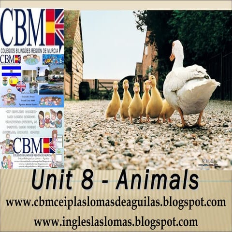 UNIT 8 - ANIMALS | PPT