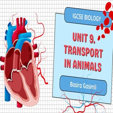 AS Level Biology - Mammalian Transport system .pptx