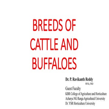Cattle Breeds dual purpose, draught, milch | PDF