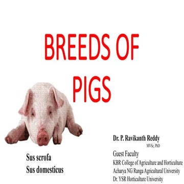 Unit 9 and 10d Swine and Poultry breeds.pptx