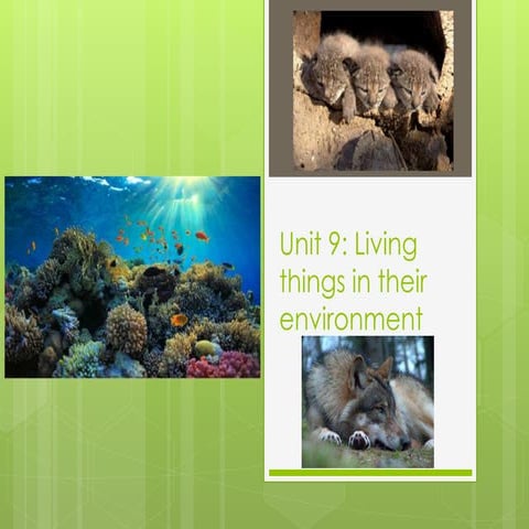 Relationships in Ecosystems | PPT