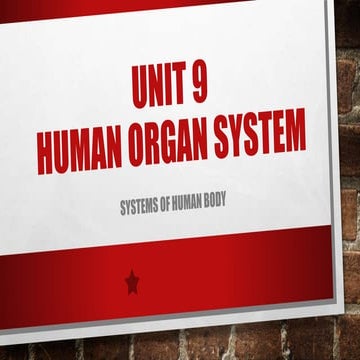 Unit 9 human organ system | PPT