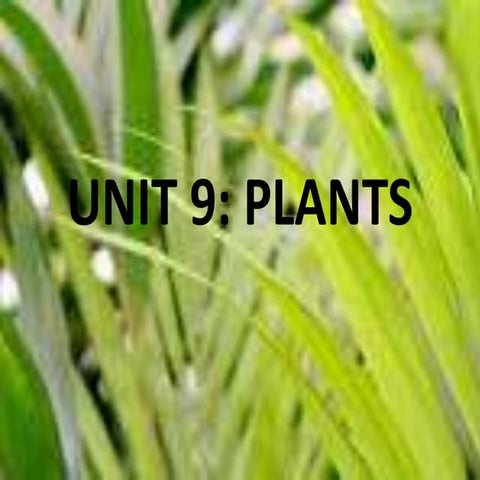 Unit 9 plants | PPTX
