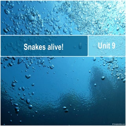 Snapshot Elementary Unit 9 Snakes Alive | PPT | Reptiles | Pets