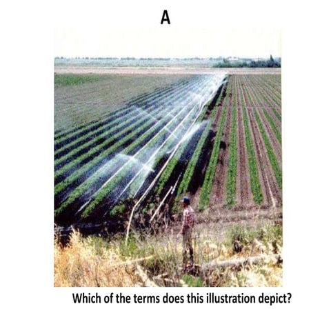 Unit 9 vocab powerpoint | PPTX