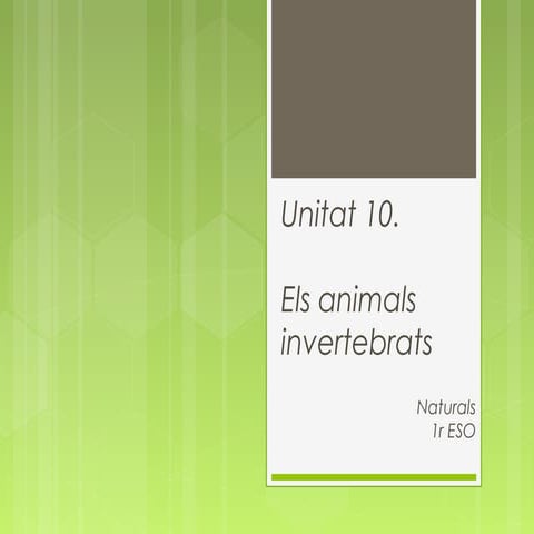 Unitat 10. els animals invertebrats | PPT