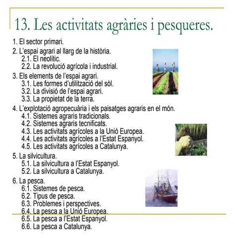 Unitat 13 sector primari | PPT