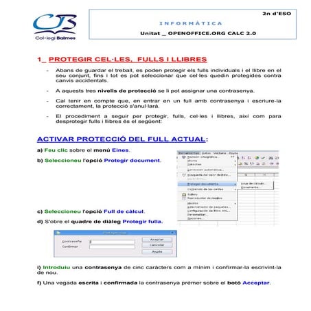 Unitat 2.protegir cel·les, fulls i llibres | PDF