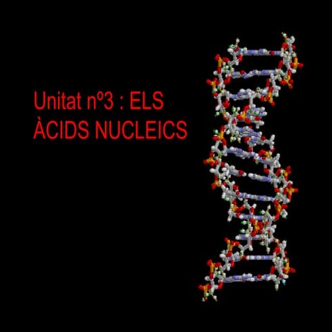 Unitat 3 àcids Nucleics Ppt