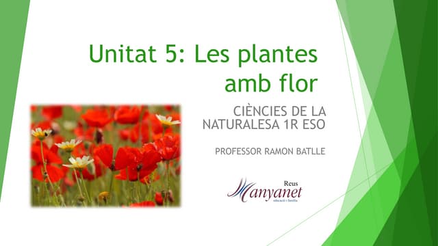 Les plantes i la seva reproducció | DOC