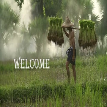 Kvk ( krishi vigyan kendra) | PPTX