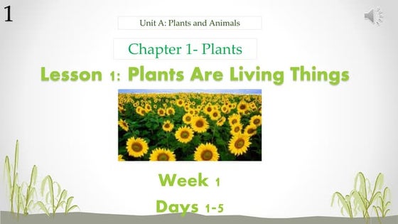 plants needs and plants parts chapter3.grade 3 | PPTX