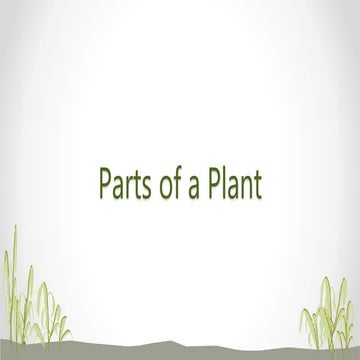 Parts of the Plants | PPTX