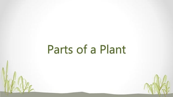 How do plant parts help plants | PPT