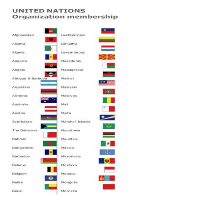 United Nations Program Flow | PDF