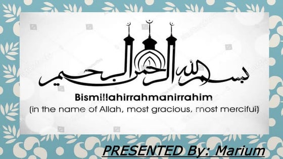 Introduction to the United Nations System | PPTX