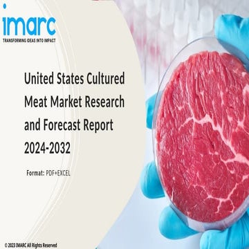 United States Cultured Meat Market Growth, Demand and Challenges of the ...