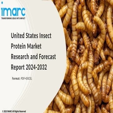 United States Insect Protein Market by Product Type, Distribution ...