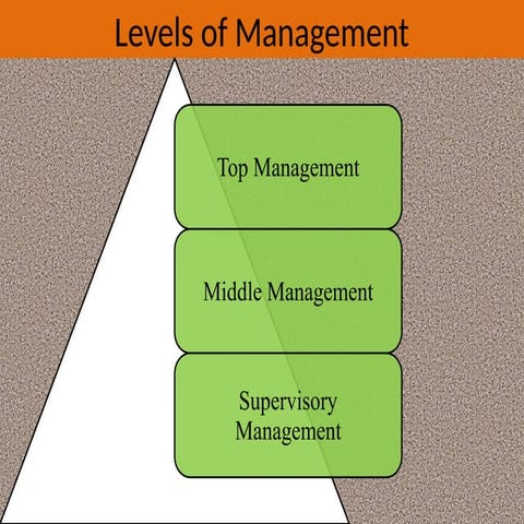 Unit I- PPT 3 Levels of Management .pptx
