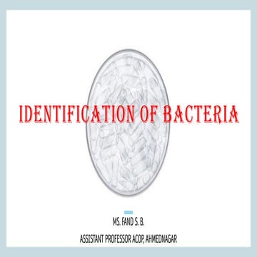 Identification of Bacteria | PPT