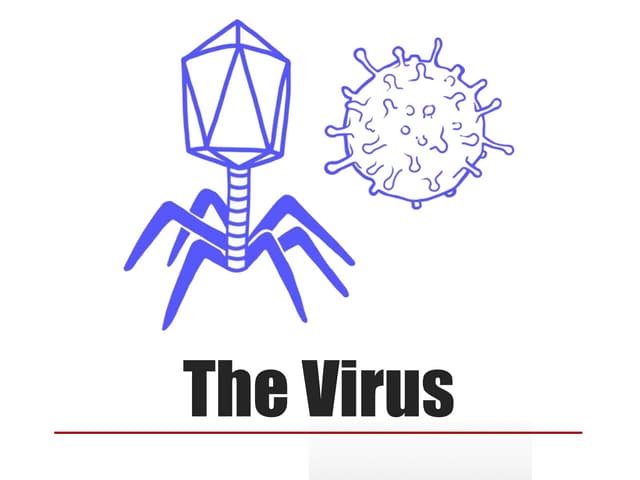 Viruses and Bacteria | PPTX