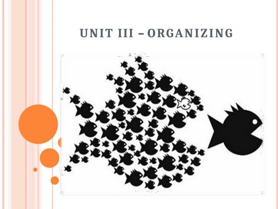 The Nature of Organization ppt | PPTX | Business | Business and Finance