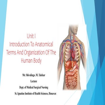 Unit I Introduction To Anatomical Terms And Organization Of The Human ...