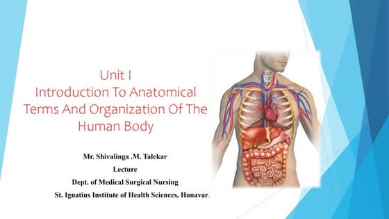 Basic anatomical terminology | PPT