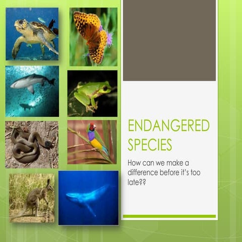 Extinct and Endangered species | PPTX