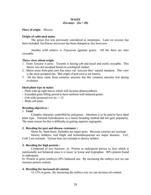 Breeding of Maize | PDF