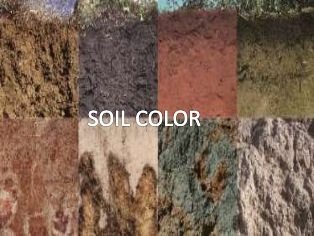 SOIL WATER- SATURATED AND UNSATURATED FLOW | PPTX