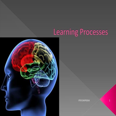 Unit learning processes | PPTX