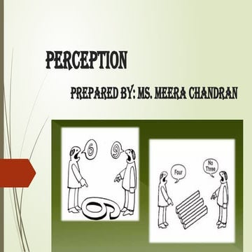 Perception in Psychology | PPT