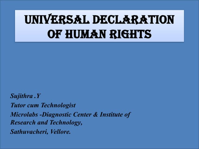 Assignment The Universal Declaration of Human RightsThe Univers.docx