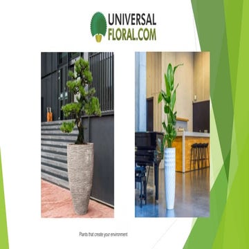 Universal Floral- Plants that stimulate your environment | PPT