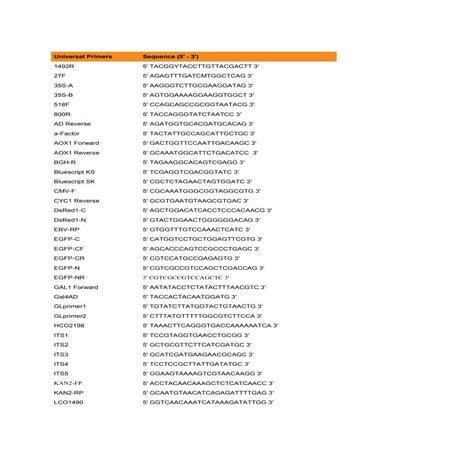 Universal primers | DOCX