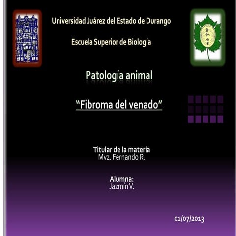 Deer Fibroma | PPTX