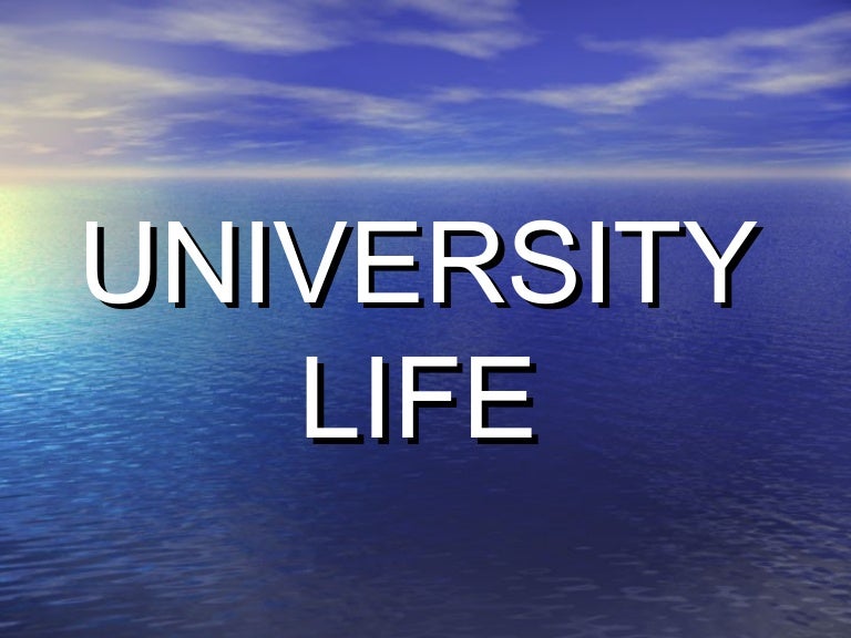Top 10 movies about life at university - outletmine