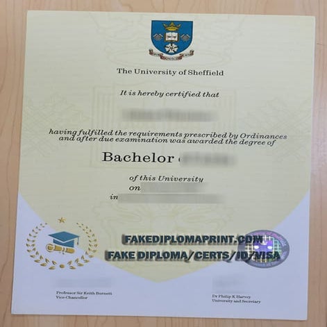 University of Sheffield diploma.pdf