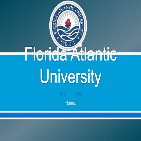 University presentation | PPSX