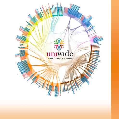 Business Analytics Consultancy By Uniwide | PDF | Management Consulting ...